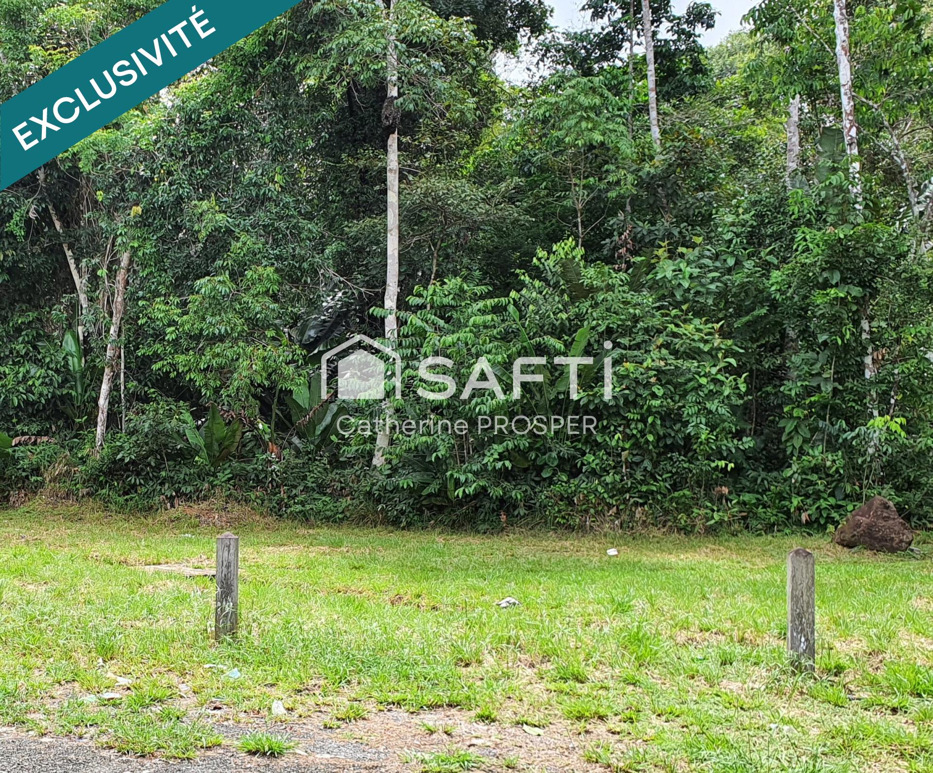 68 Terrains à vendre Guyane (973) - Les-Terrains.com
